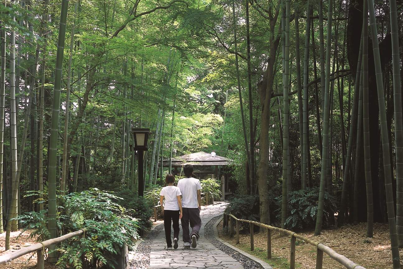 [One-day maple viewing tour in Izu] Shuzenji Niji no Sato & Shuzenji ...